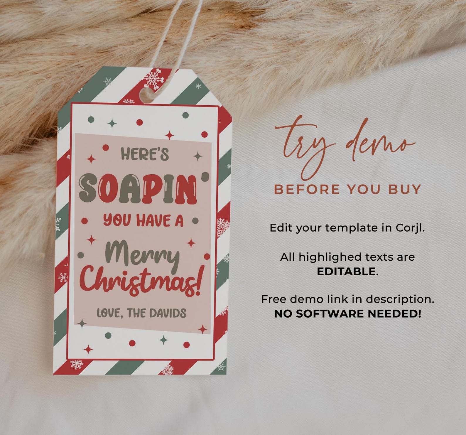 Christmas Soap Gift Tag EDITABLE, Soapin You Have a Merry Christmas Tag ...
