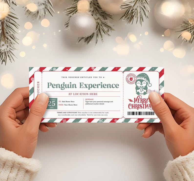 Penguin Experience Christmas Certificate EDITABLE, Surprise Penguin ...
