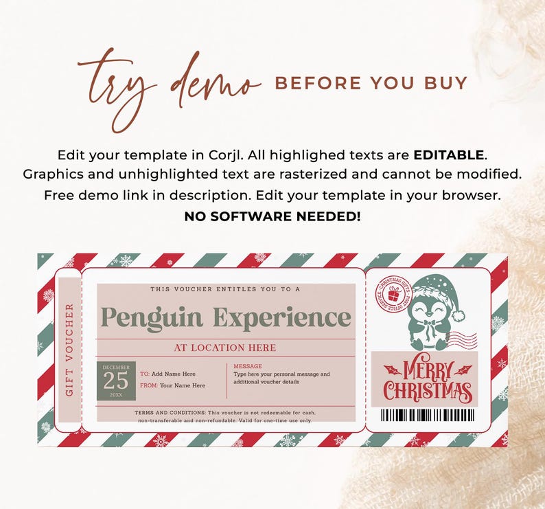 Penguin Experience Christmas Certificate EDITABLE, Surprise Penguin ...