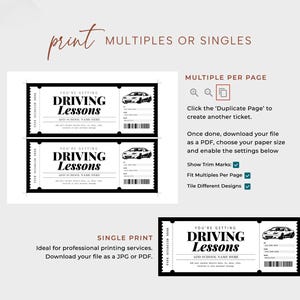 Driving Lesson Gift Ticket EDITABLE, Driving School Gift Certificate ...