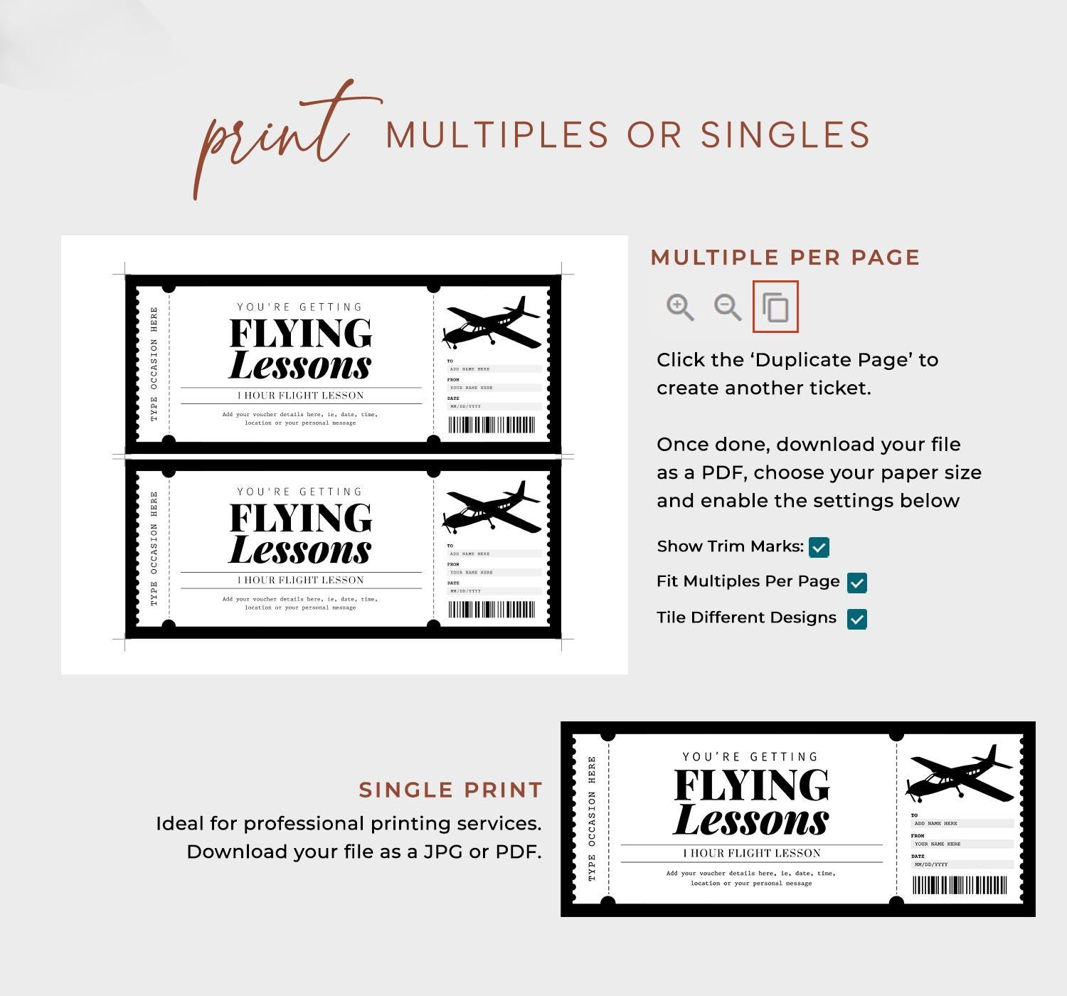 Flying Lessons Gift Voucher EDITABLE, Flight Lesson Certificate ...