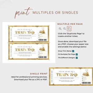 Train Ticket Gold Voucher EDITABLE, Surprise Train Ticket Invitation ...