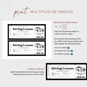 Driving Lessons Voucher EDITABLE, Driving School Certificate Printable ...