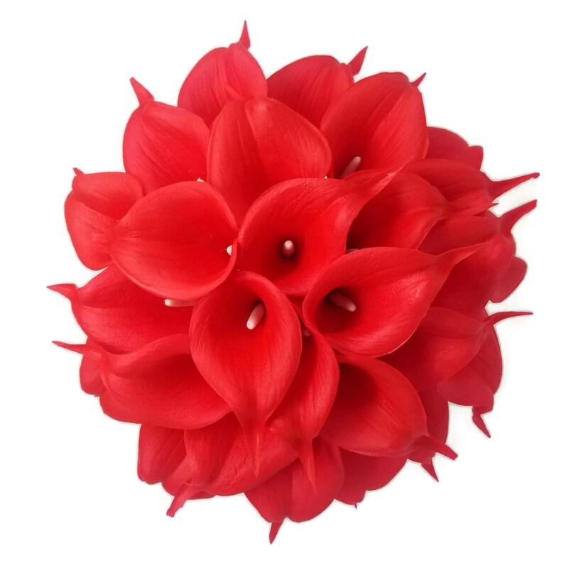 Red Calla Lilies - Etsy
