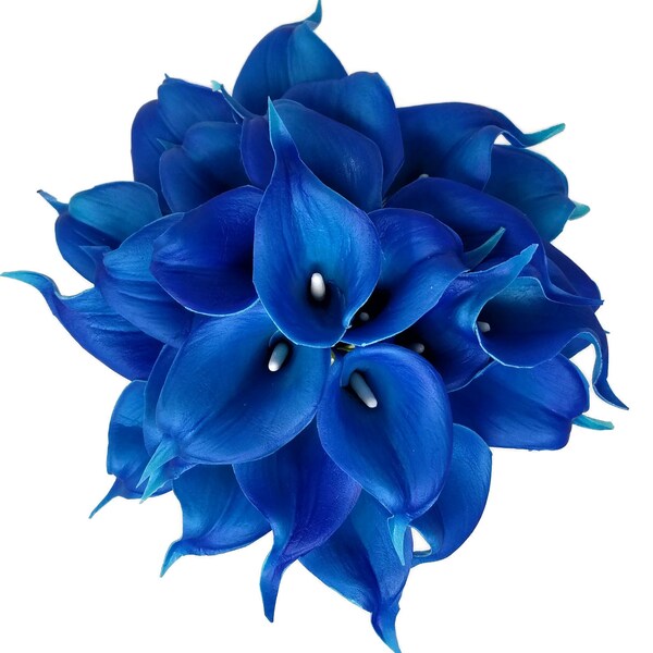 Blue Calla Lily - Etsy