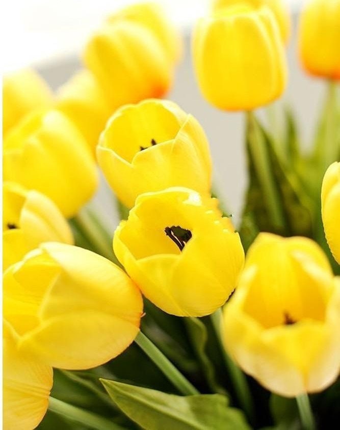 USA Seller XL 26 Inch Real Touch Tulips Artificial PU Flowers - Etsy