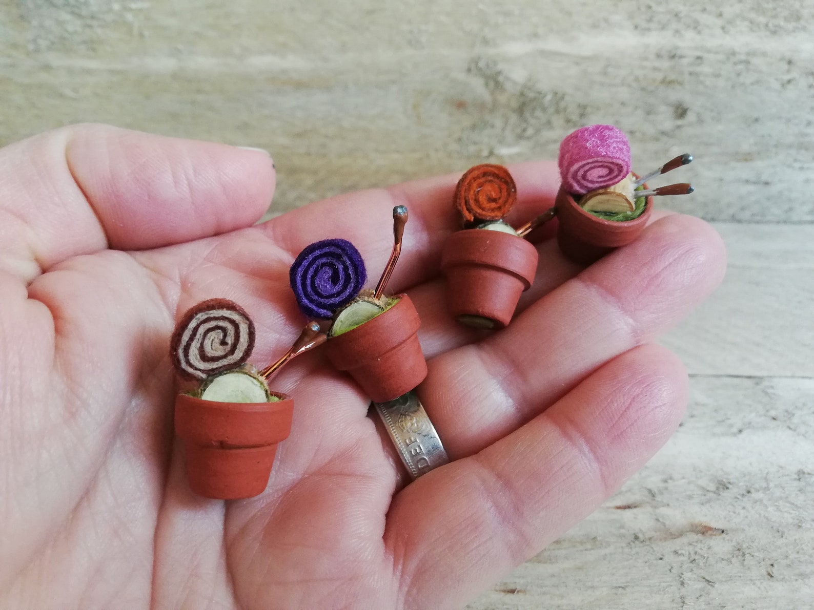 Miniature Felt Snails, Diorama, Tiny Gifts, Nature Lover Gifts - Etsy