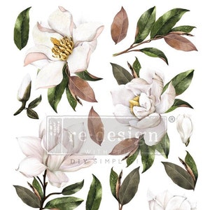 Magnolia Grandiflora Furniture Transfer - White Floral Redesign With ...