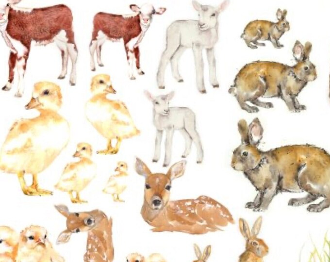 Baby Animals - Decoupage Paper, Furniture Decoupage, Roycycled ...