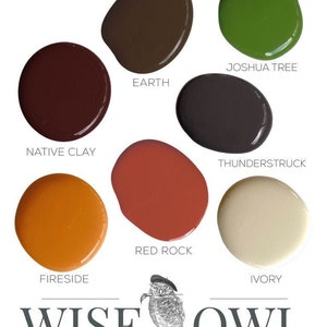 Chalk Synthesis Paint Native Clay Pint Size Wise Owl Desert Sunset ...