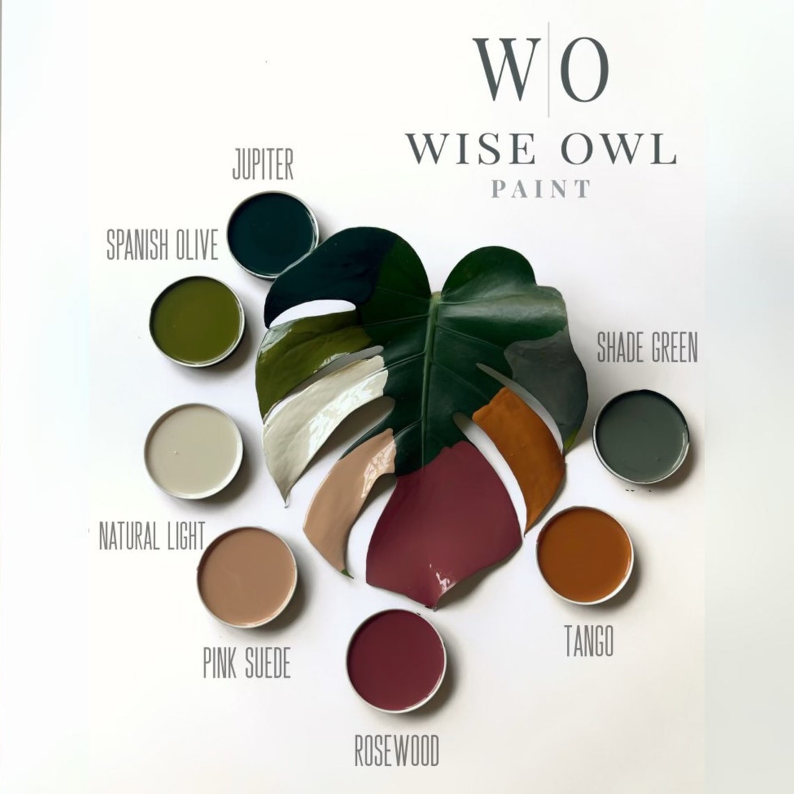Stain Eliminating Primer - Wise Owl - Clear, White, Gray, Dark Gray ...