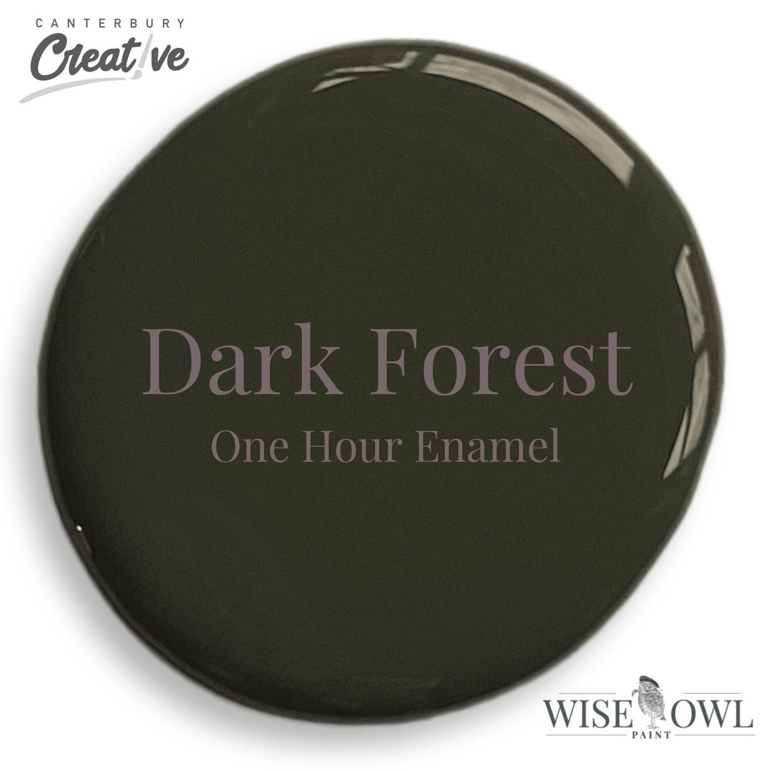 Dark Forest Green OHE I Wise Owl One Hour Enamel I Cabinet & Furniture Paint - Etsy