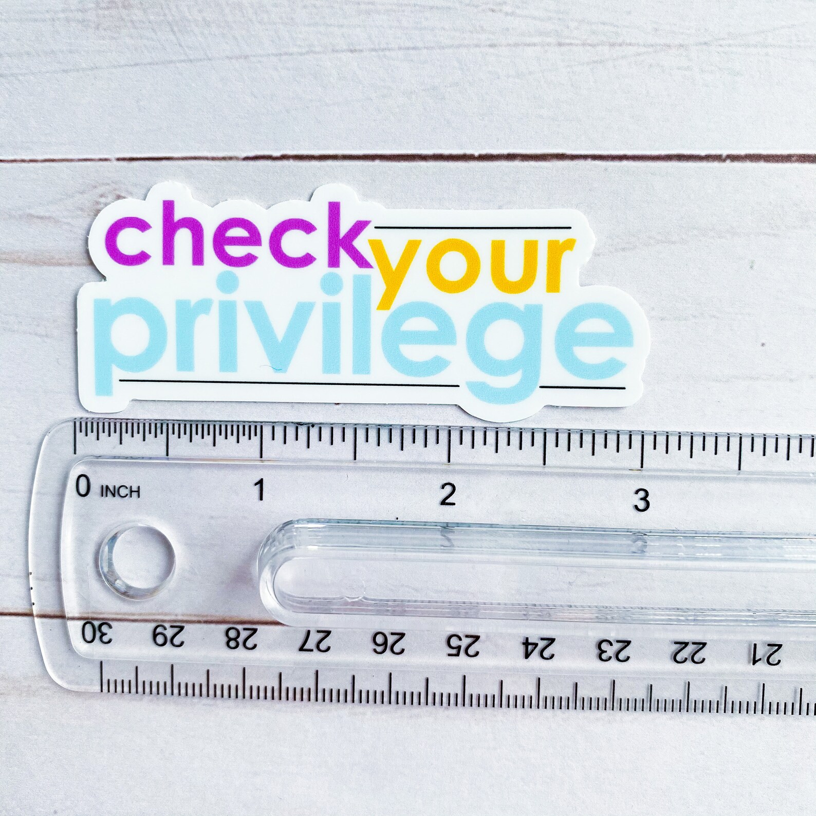 Check Your Privilege Sticker - Etsy