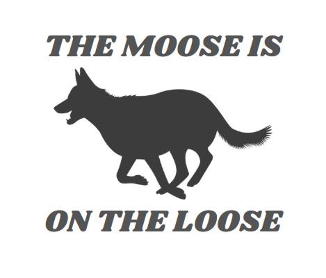 The Moose is on the Loose Decal - Etsy