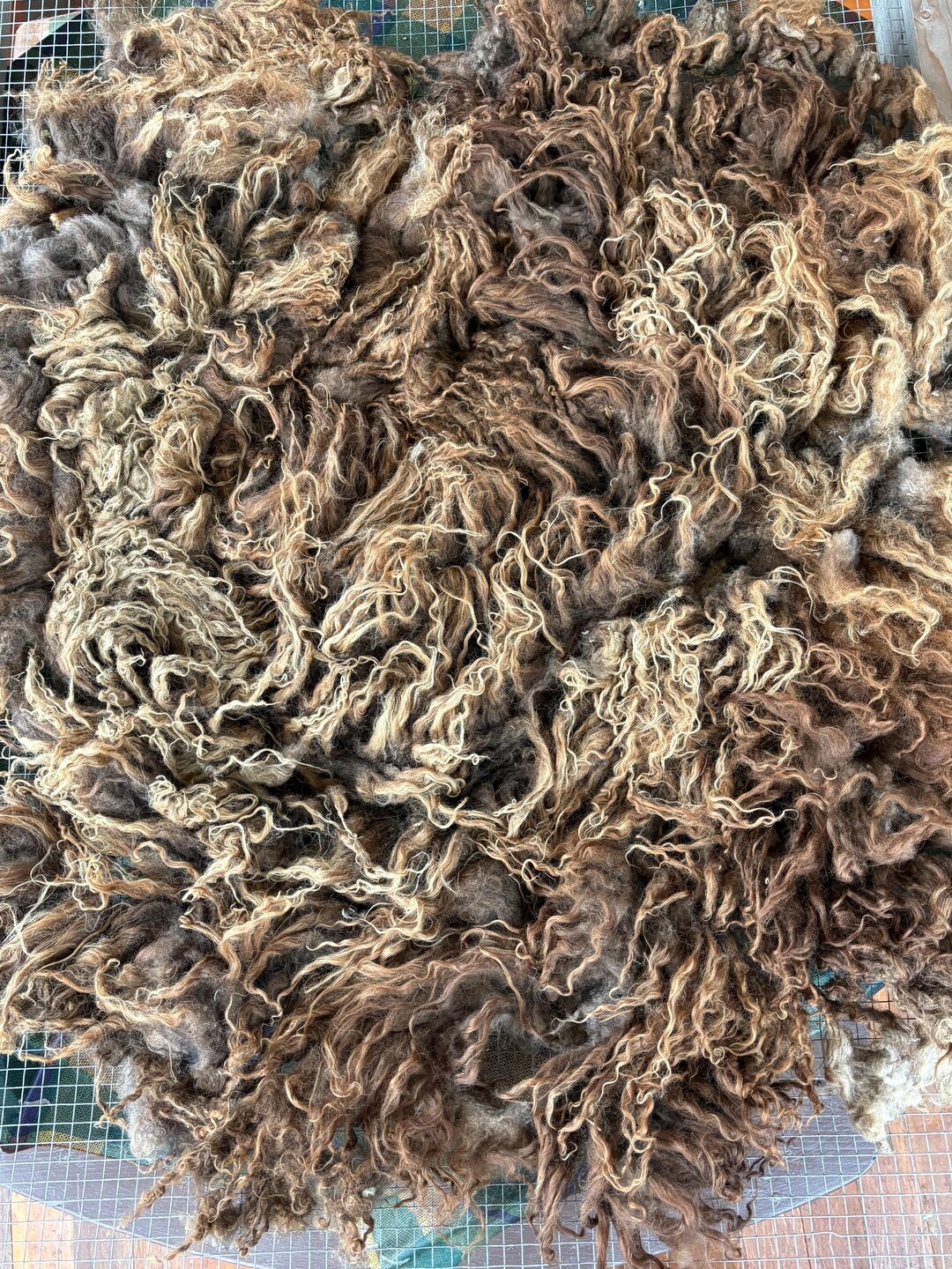 Icelandic Lamb Raw Wool Fleece (fall Shearing) - Etsy