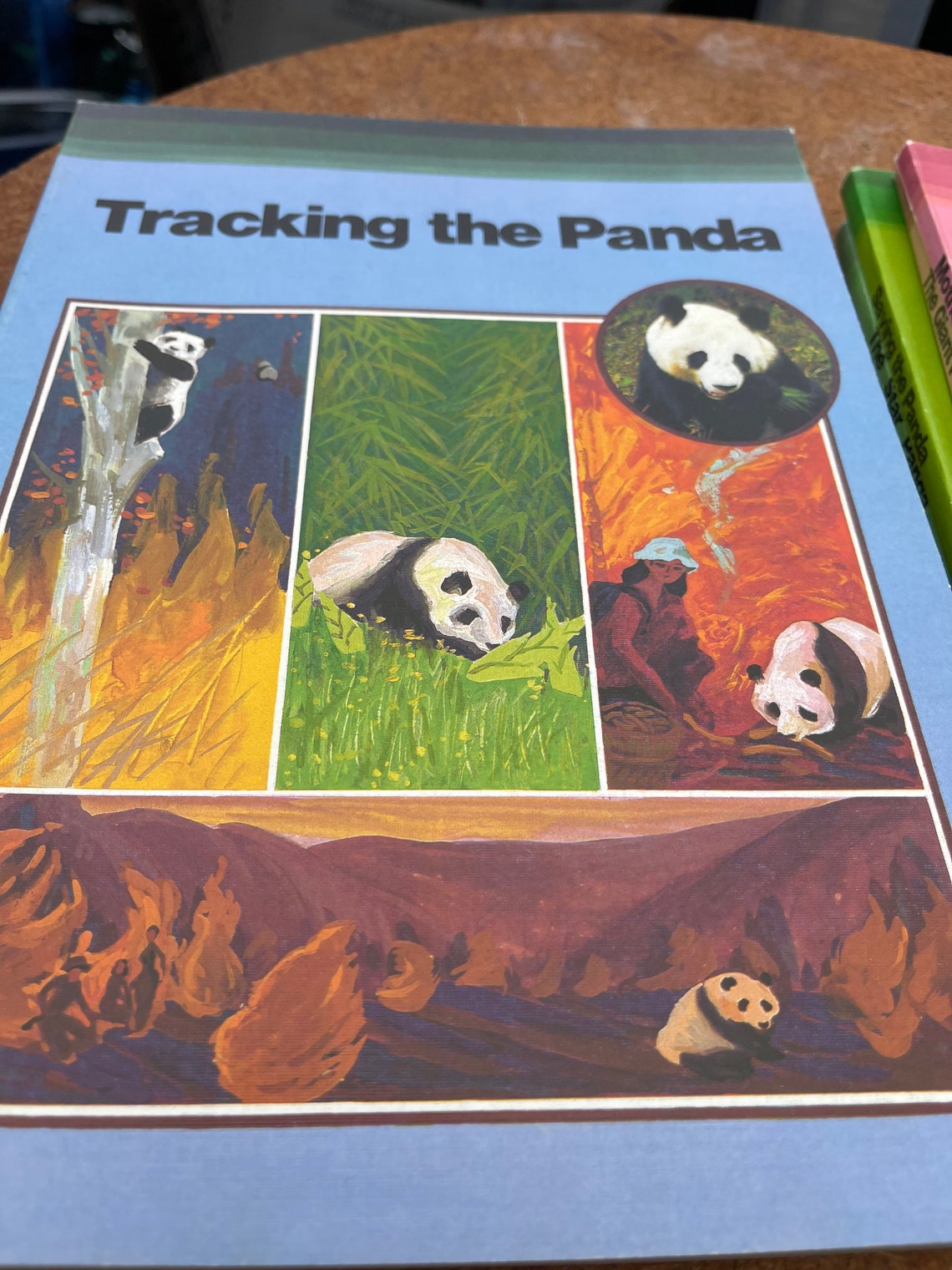 Set of 6 cute Panda Bear educational books. Published in 1988 | Etsy