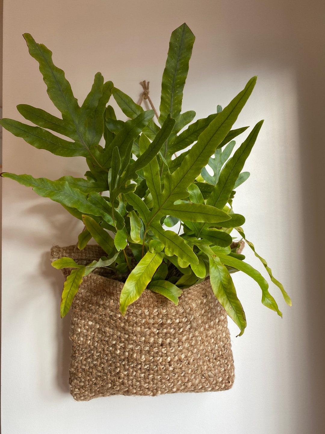 The Hanging Jute Pot Plant Jute Basket - Etsy
