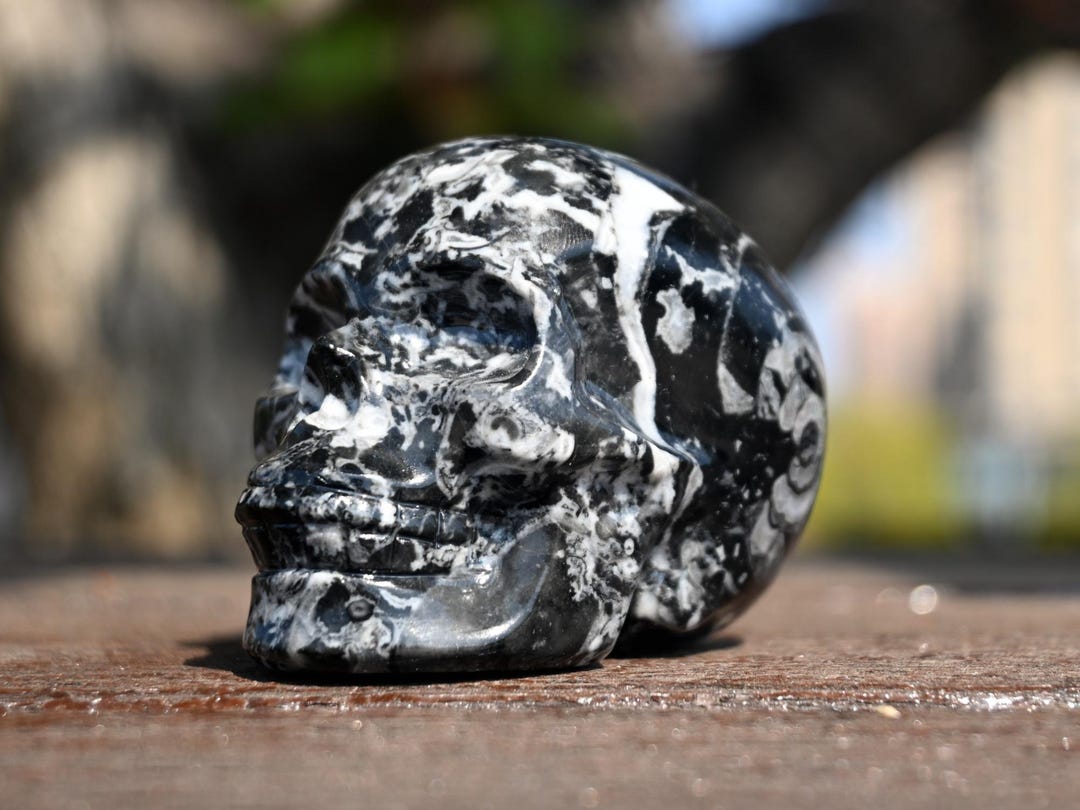 2.6'' Natural Hand Carved Shell Stone Skull，crystal Carved Skull ...