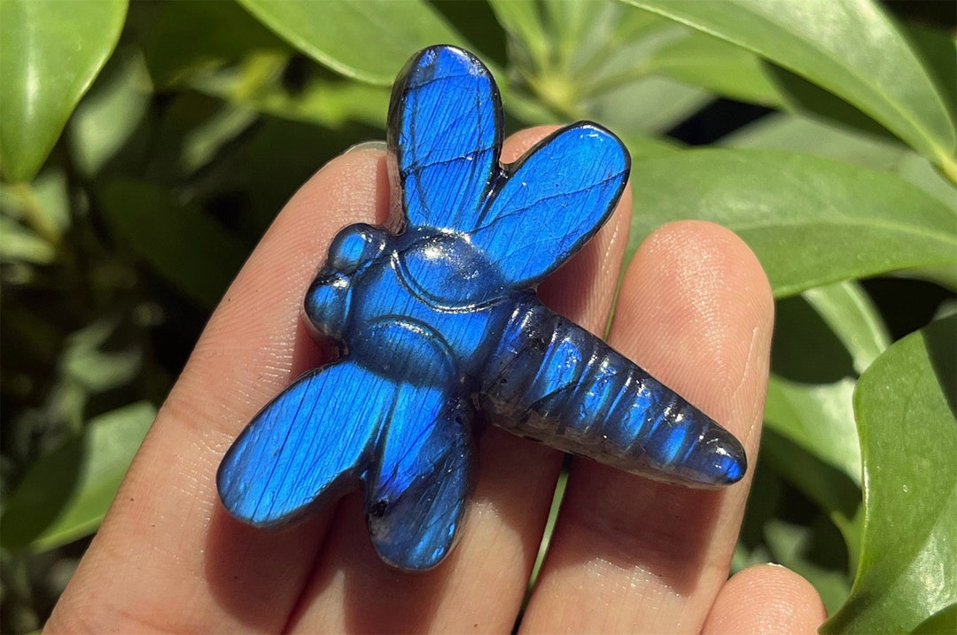 1.2'' Natural Hand-carved Labradorite Dragonfly，quartz Crystal ...
