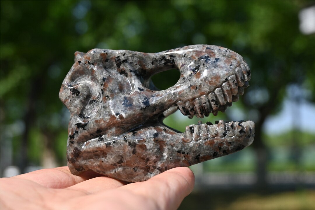 Yooperlite Dinosaur Skull: Natural Carved Crystal Healing (3.1'') - Etsy