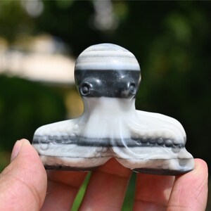 2.5'' Natural Carved Taichi Stone Octopus，crystal Octopus Skull，quartz ...