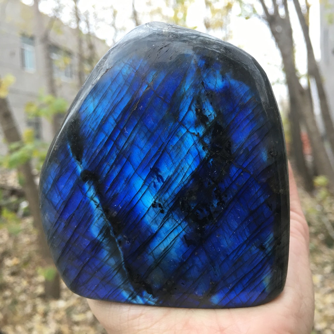 Natural Labradorite Mineral Quartz Crystal Ornaments Point | Etsy