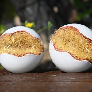 55mm+ Yellow Needle Ironstone Ball,open Mouth Magnesite Goethite ...