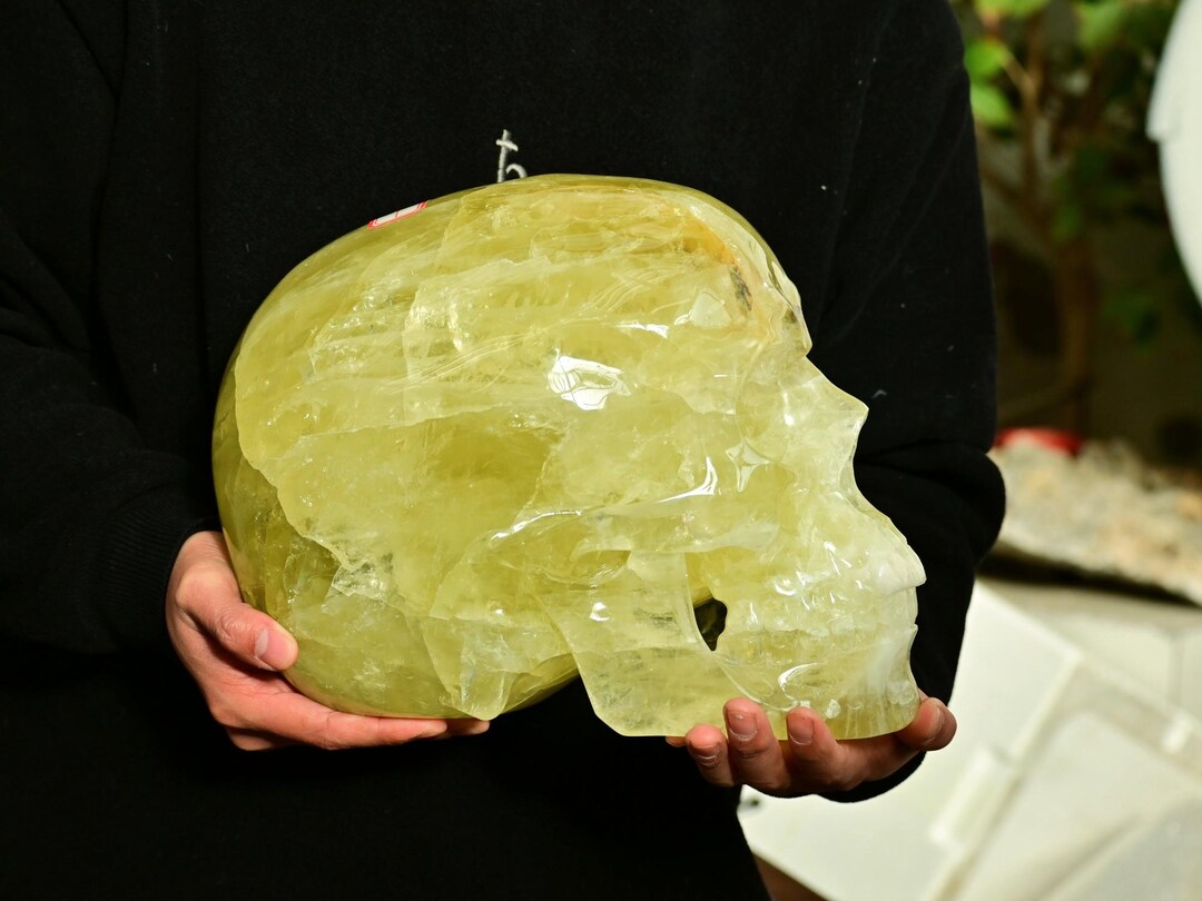 37.18LB Natural Carved Citrine Skull，natural Quartz，home Decor，citrine ...