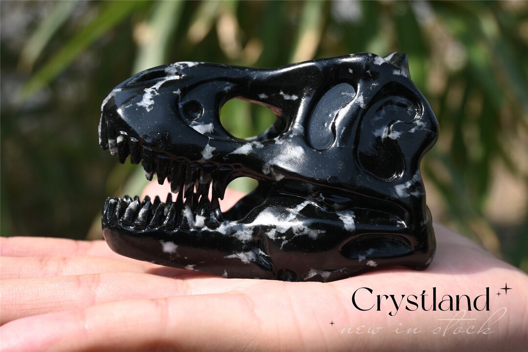3'' Natural Snowflake Obsidian Carved Tyrannosaurus Skull，crystal ...