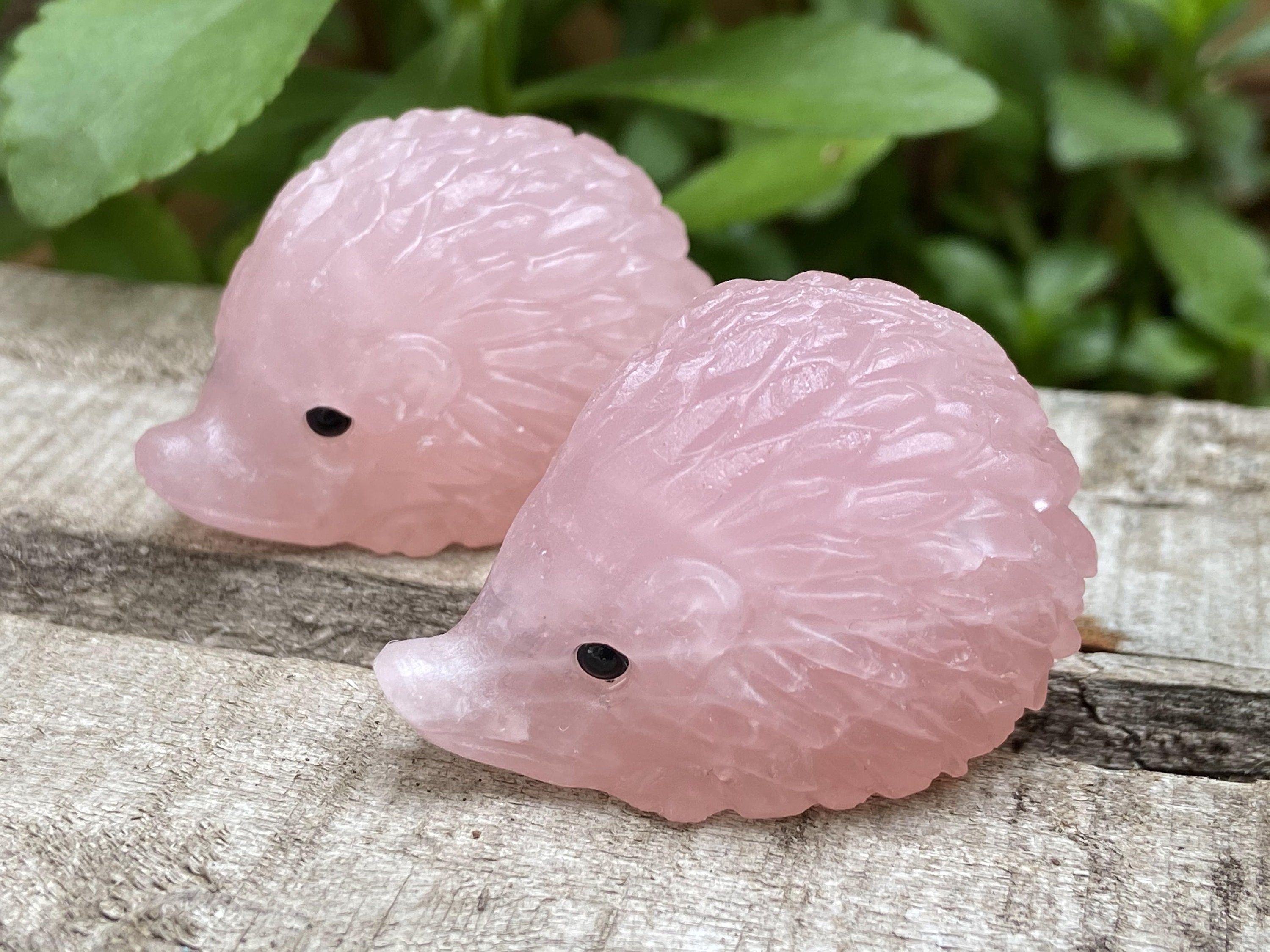 Erizo de cuarzo rosa tallado a mano natural regalo del día | Etsy