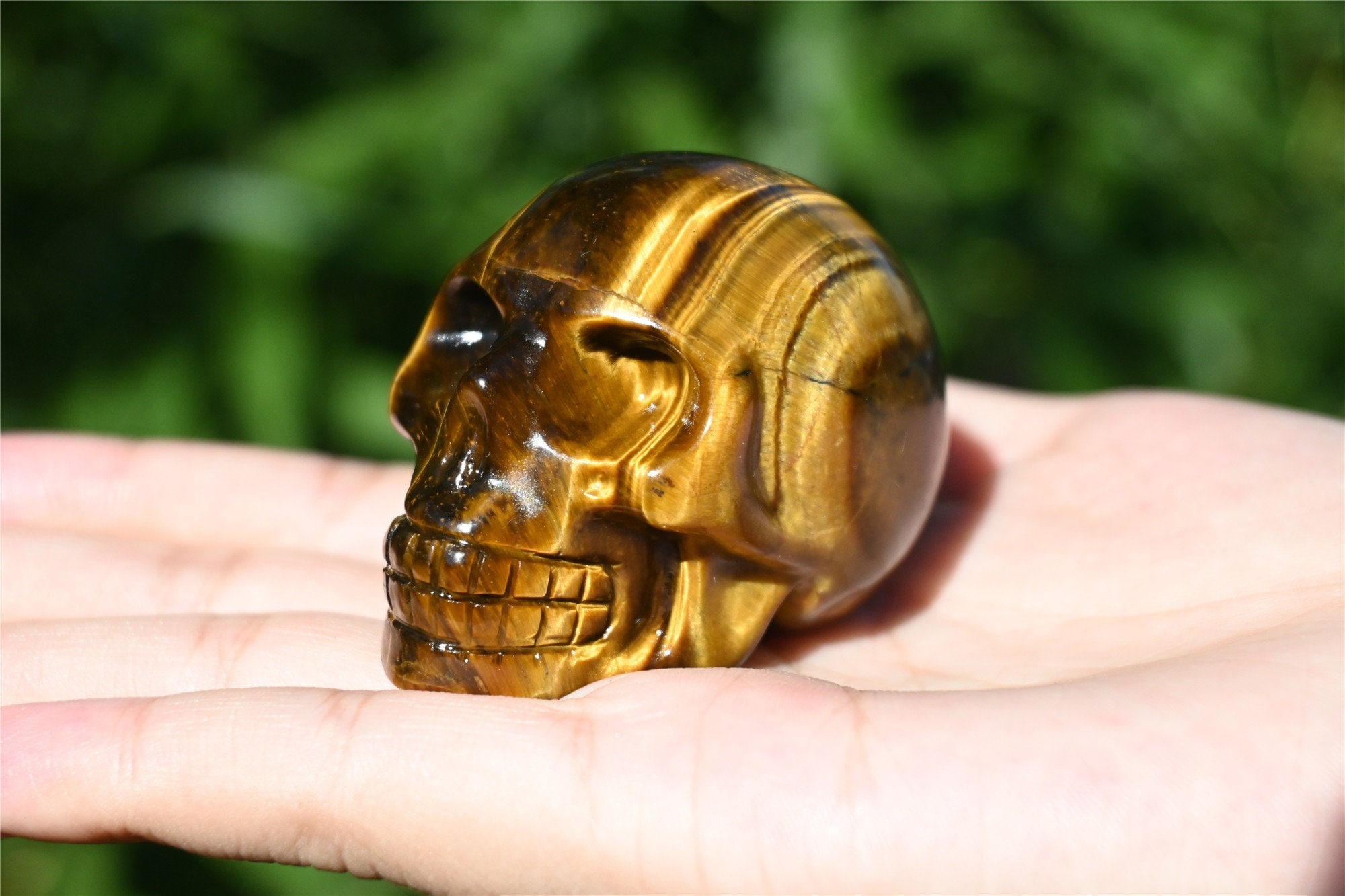 Tigers Eye Skull Etsy