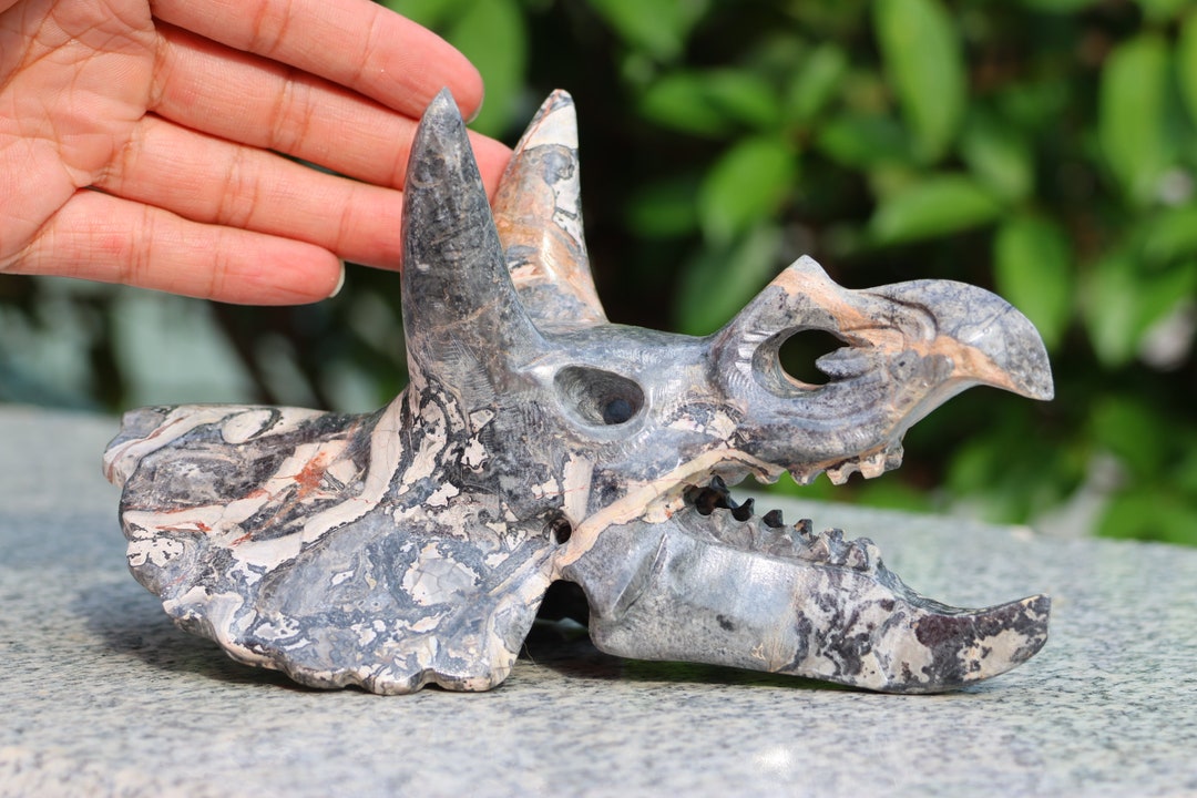 8'' Natural Jade Carved Triceratops Skull，crystal Carving Triceratops ...