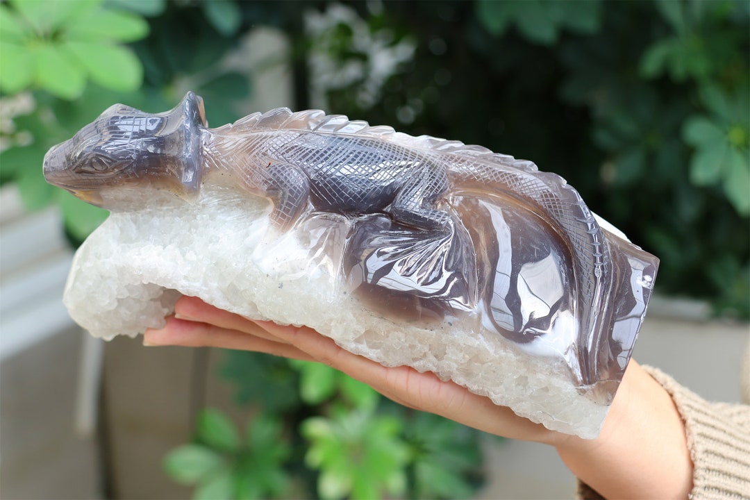 4.18LB Natural Carved Agate Geodes Lizard Skull,quartz Crystal Skull ...