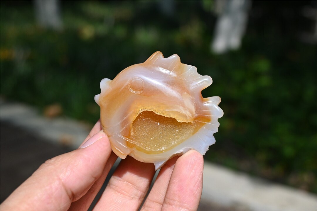2'' Natural Gray Agate Geode Fish，quartz Crystal，crystal Present ...