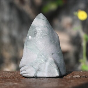2.4'' Natural Jade Shark，shark Skull，shark Crystal，carved Shark Head ...