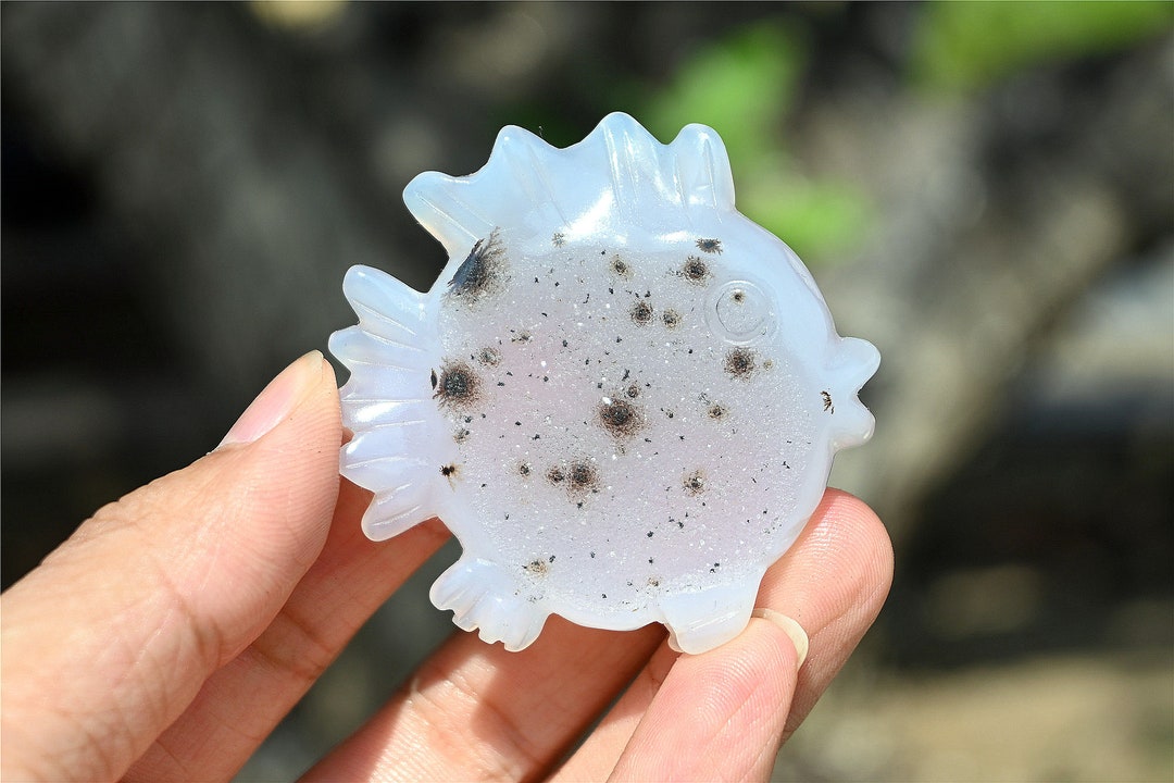 2'' Natural Gray Agate Geode Fish，quartz Crystal，crystal Present ...