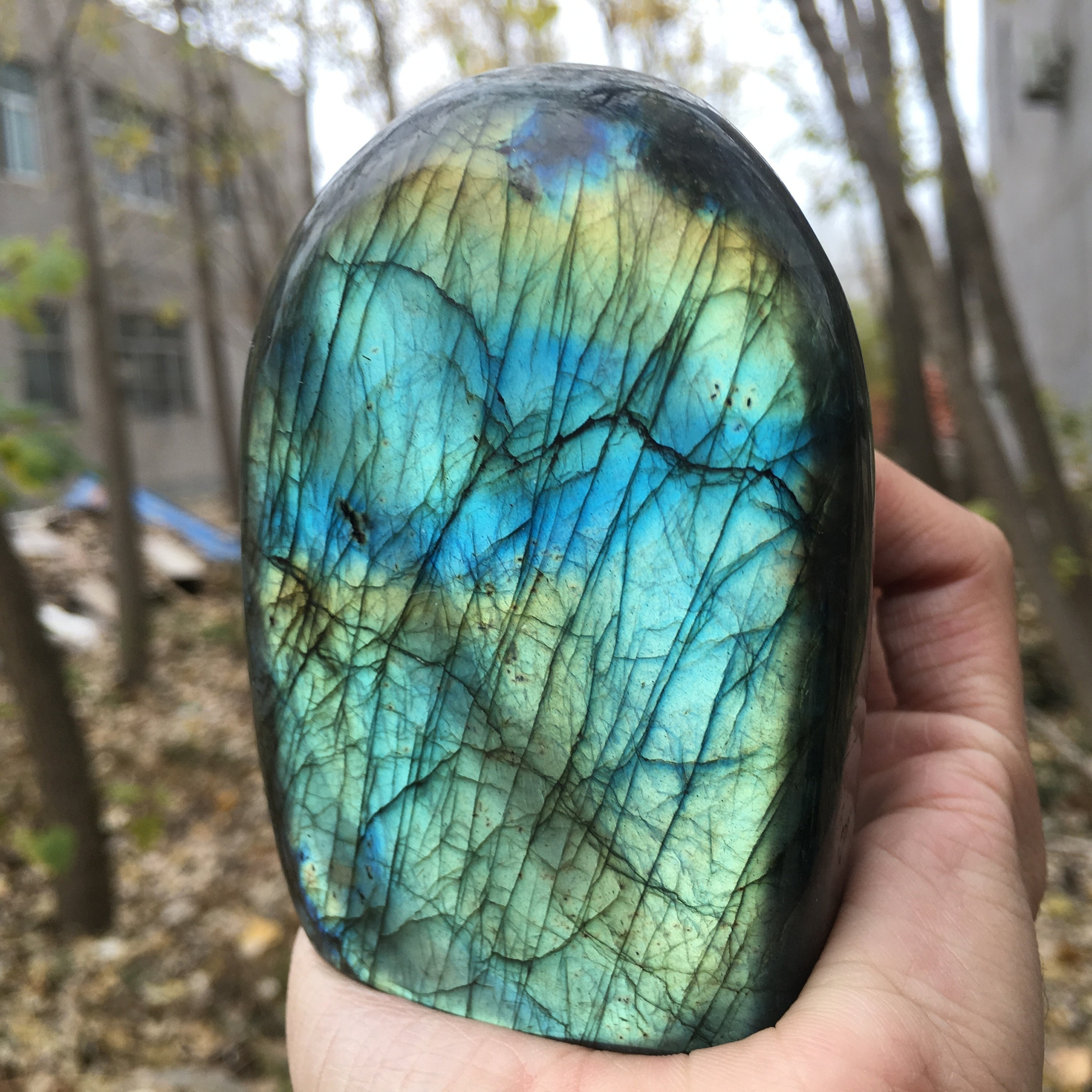 Natural Labradorite Mineral Quartz Crystal Ornaments Point | Etsy