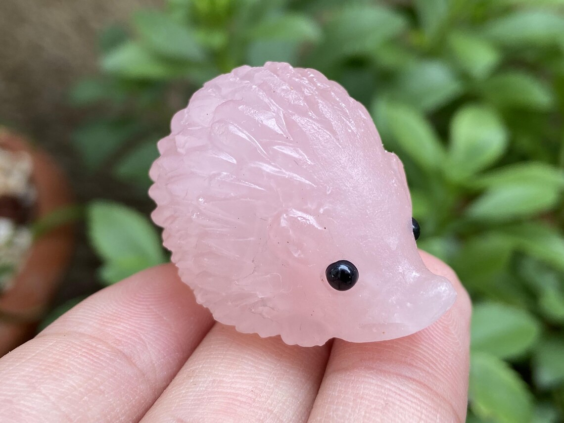 Erizo de cuarzo rosa tallado a mano natural regalo del día | Etsy