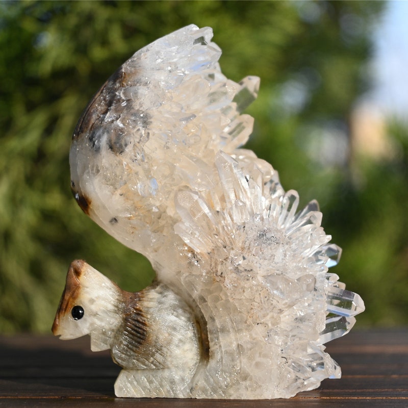 Carved Squirrel - Etsy