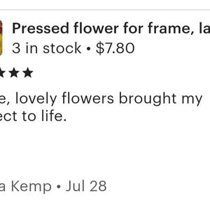 Pressed Flower for Frame, Large Size Pressed Flower Gerbera Floral Art ...