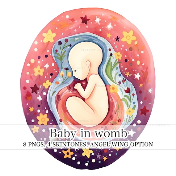 Fetus Womb Clip Art