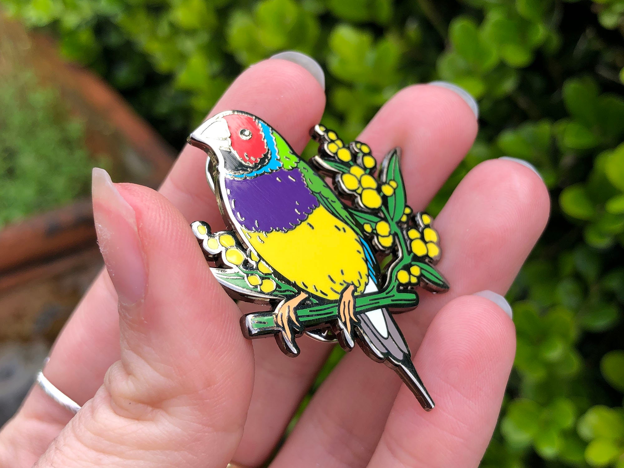 Gouldian Finch Hard Enamel Pin Lapel Pin Bird Pin Finch - Etsy