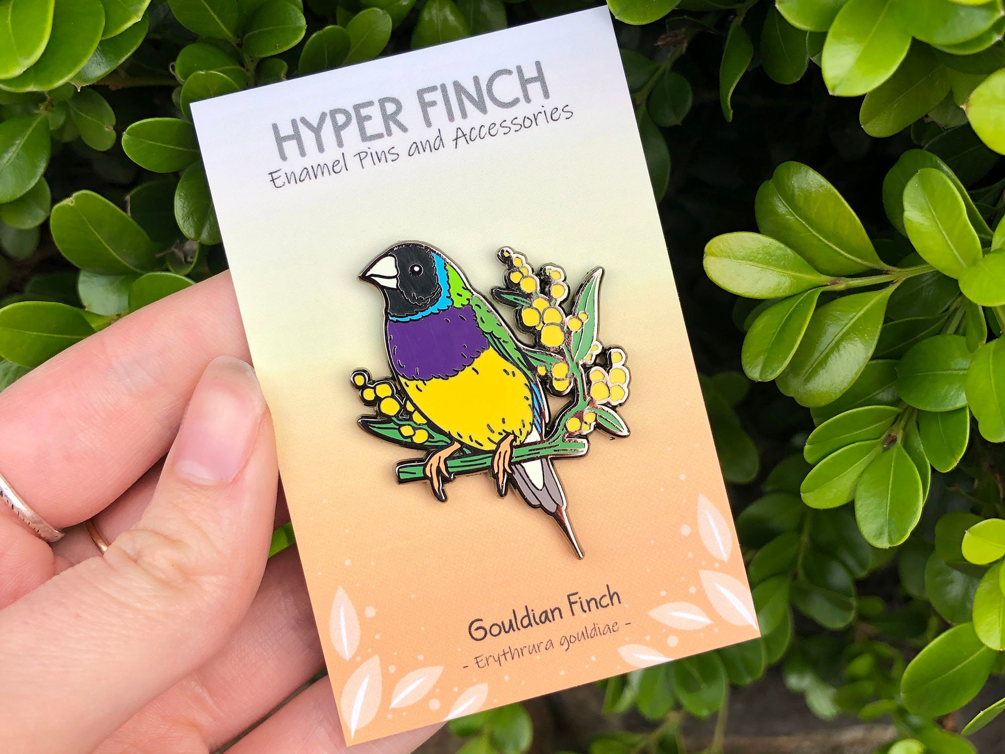 Gouldian Finch Hard Enamel Pin Lapel Pin Bird Pin Finch - Etsy
