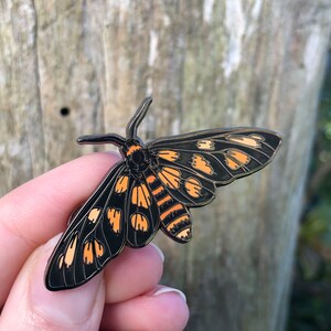 Tiger Moth Hard Enamel Pin - Moth Badge | Lapel Pin | Australian Moth ...
