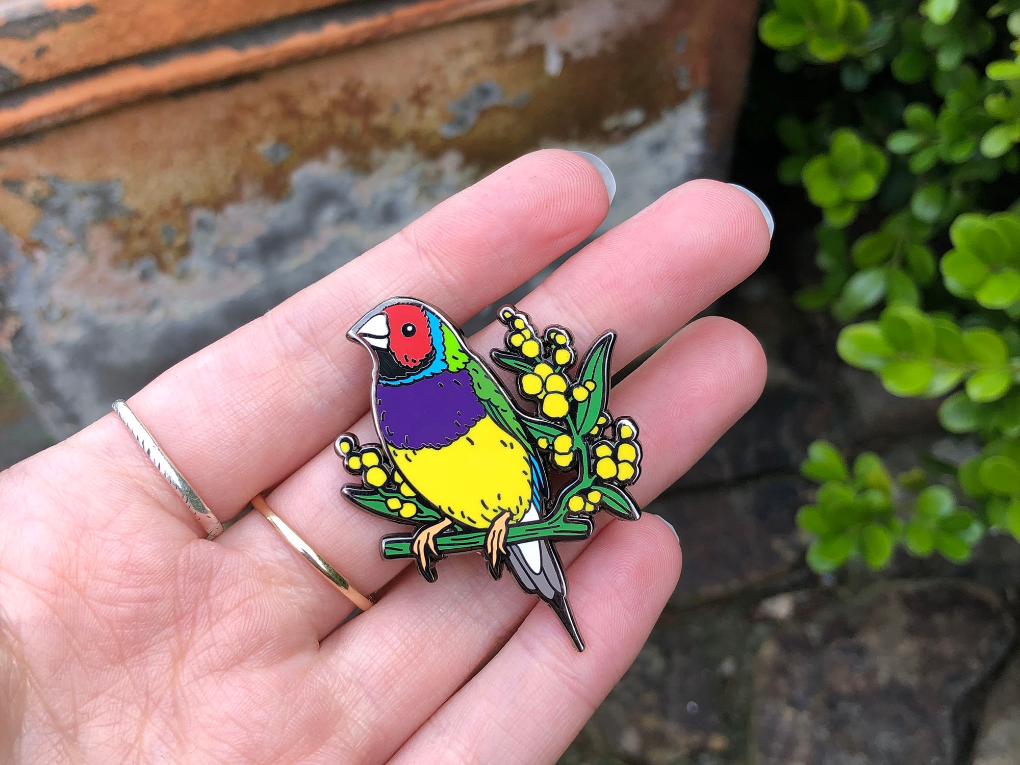 Gouldian Finch Hard Enamel Pin Lapel Pin Bird Pin Finch - Etsy
