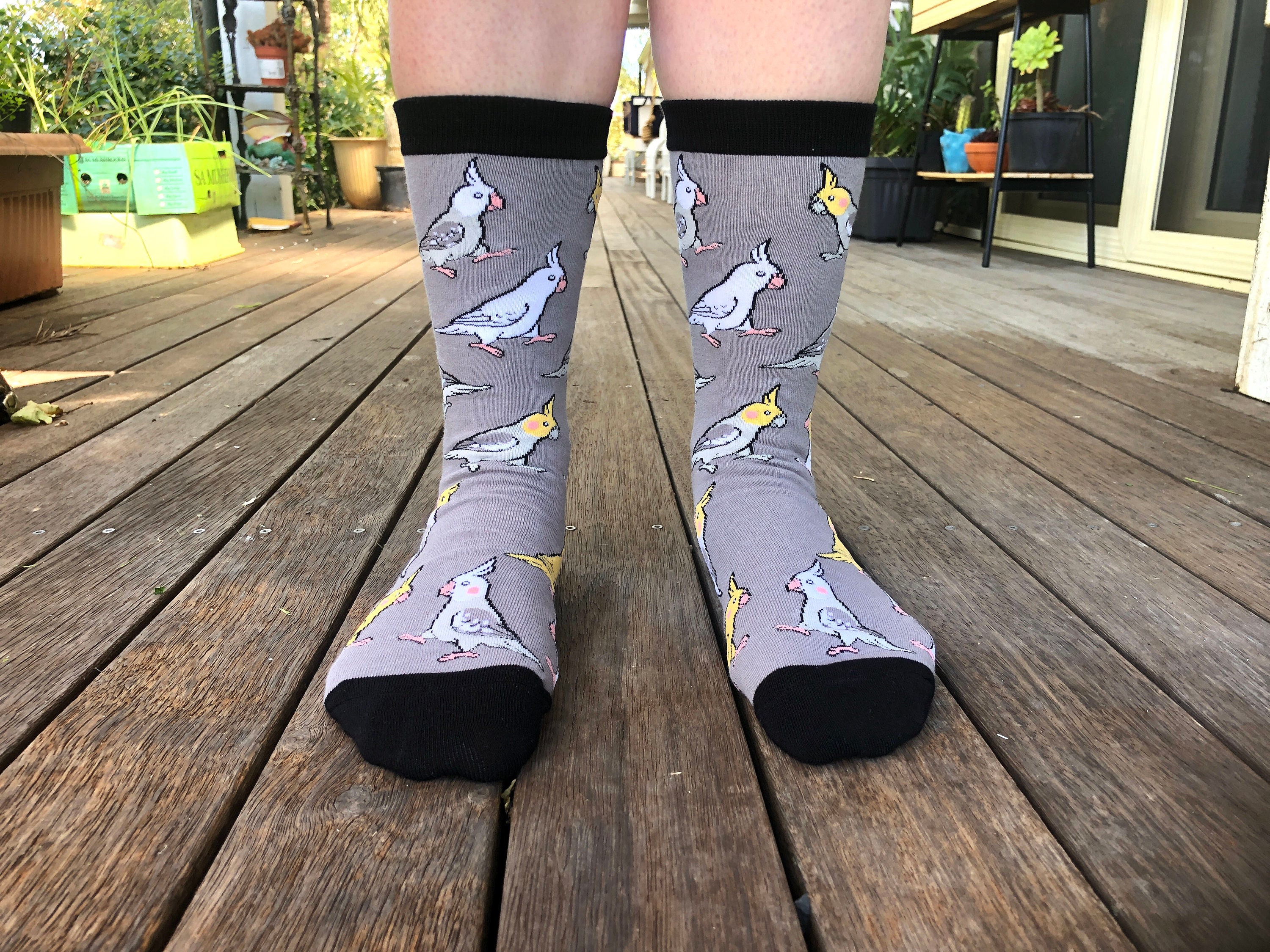 Cockatiel Socks Cotton Jacquard Crew Socks Bird Socks - Etsy