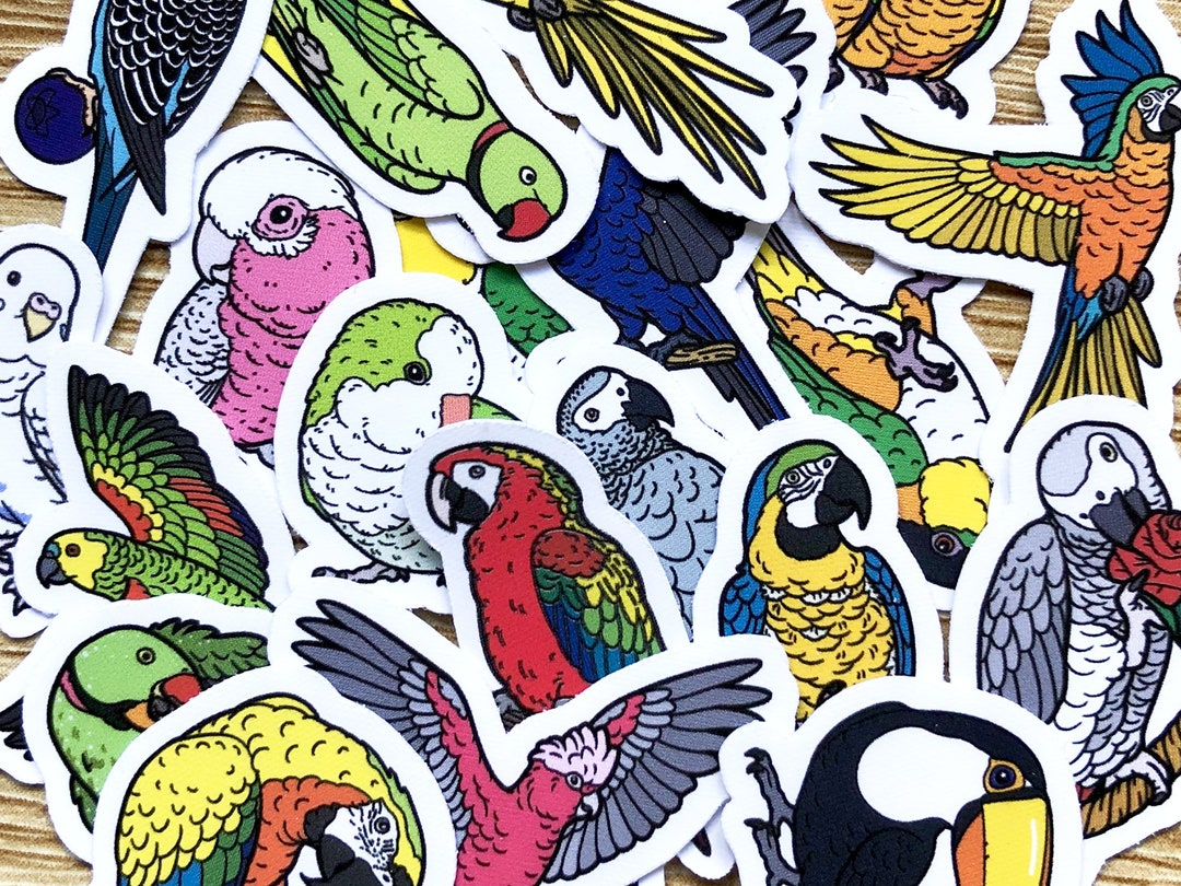 20 Mixed Birdtricks Stickers Journal Stickers Planner Stickers Vinyl ...