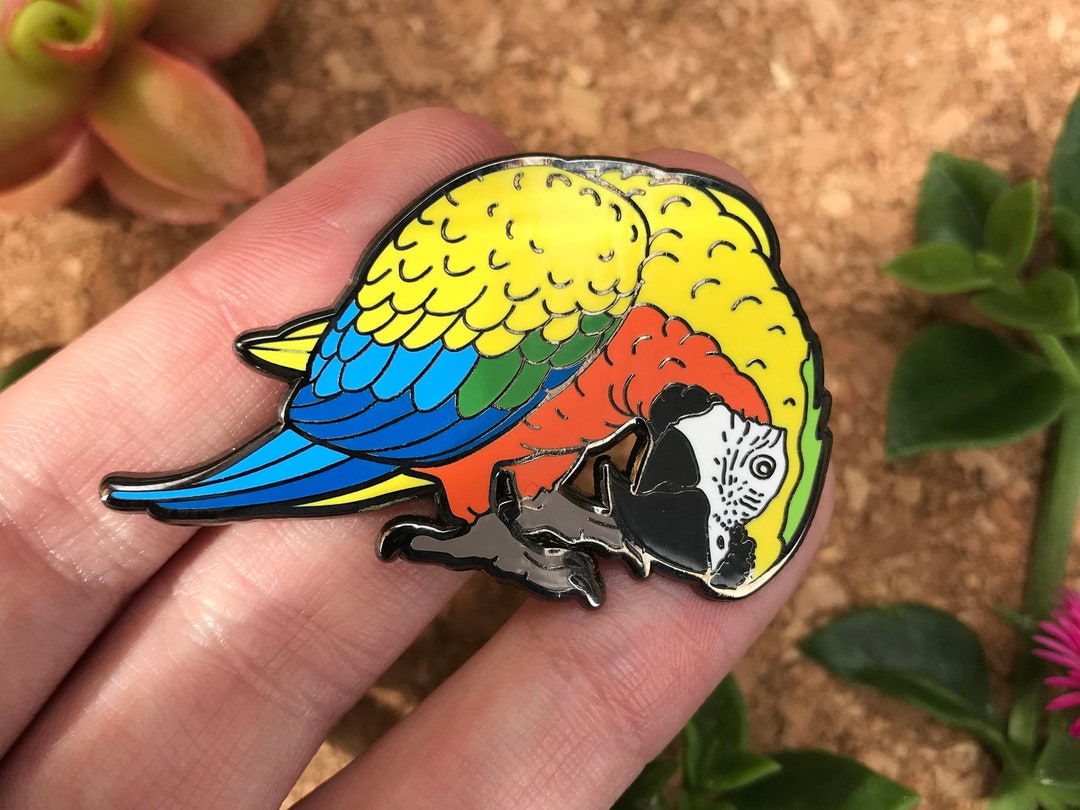Comet the Camelot Macaw Hard Enamel Pin | Lapel Pin | Bird Pin | Macaw ...