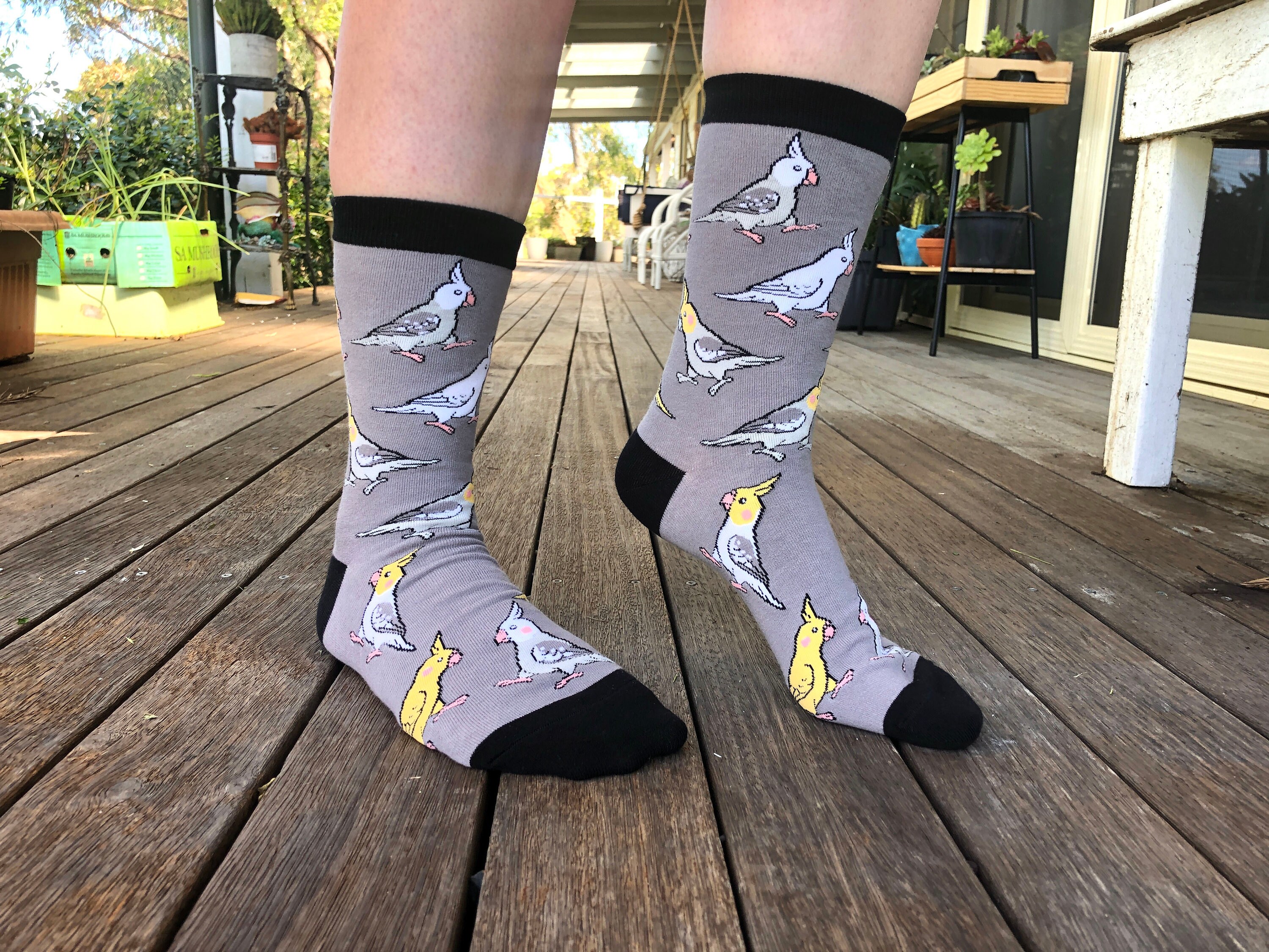 Cockatiel Socks Cotton Jacquard Crew Socks Bird Socks - Etsy