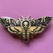 Death's-head Hawkmoth Hard Enamel Pin Hawk Moth Gold - Etsy